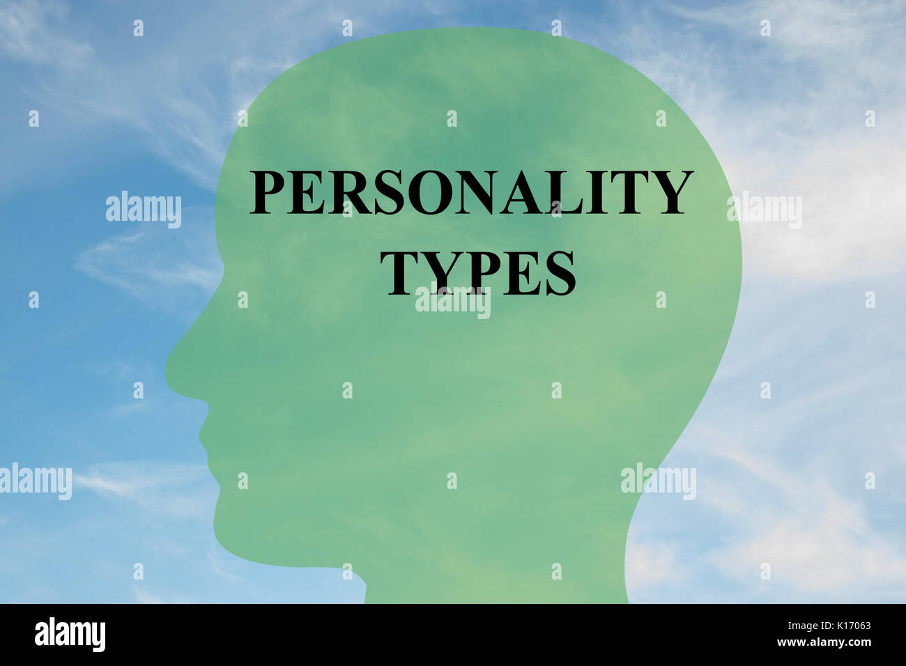 Render illustration of "PERSONALITY TYPES" script on head silhouette ...