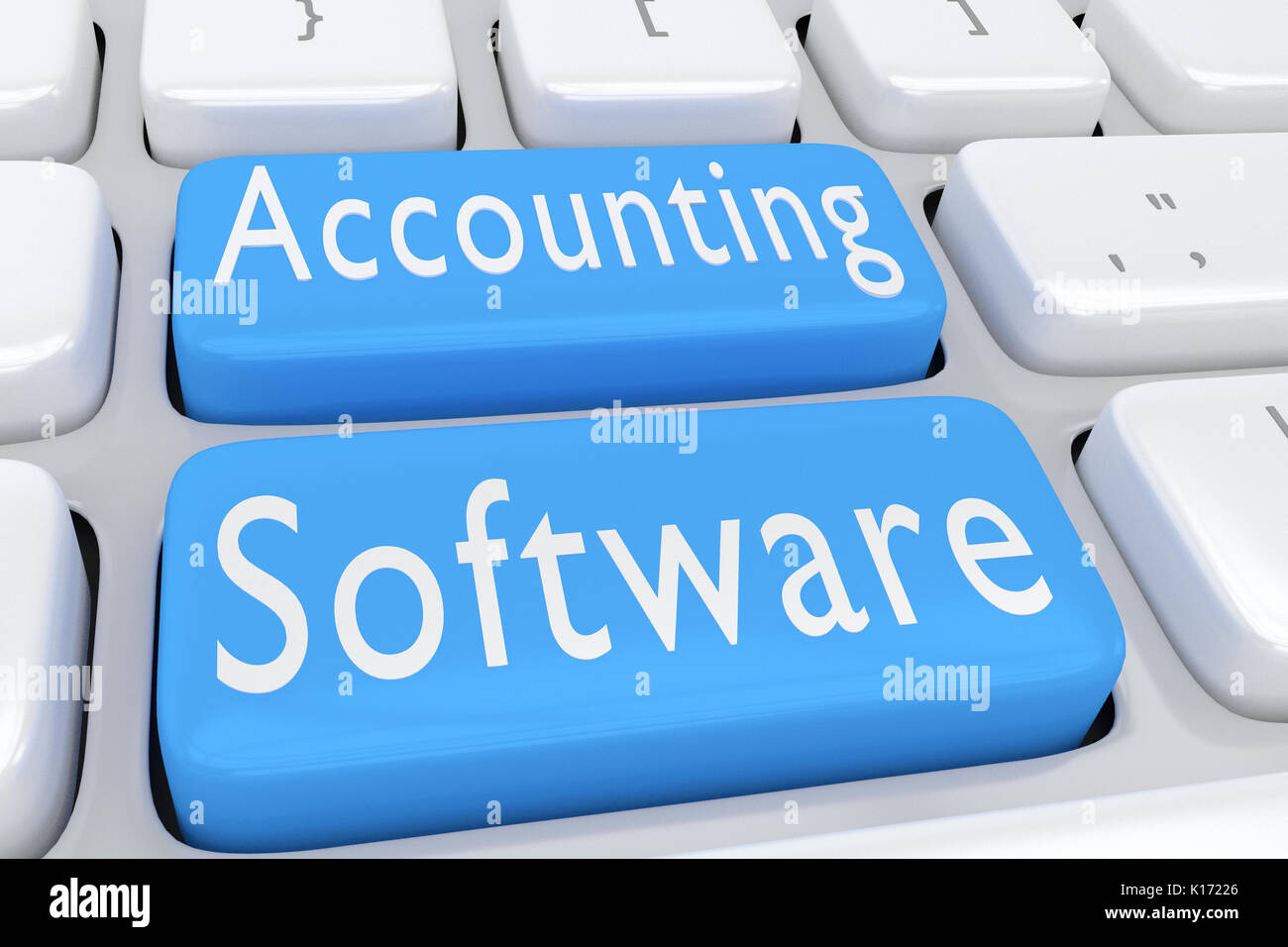 3D illustration of computer keyboard with the script "Accounting Software" on two adjacent pale ...