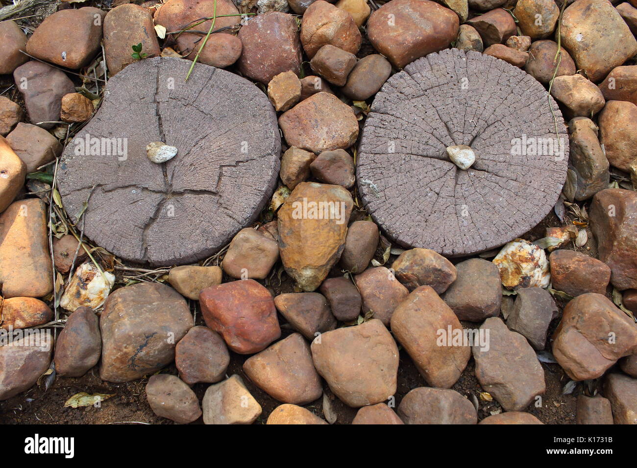 Shapes in everyday garden objects - face in the stepping stones in ...