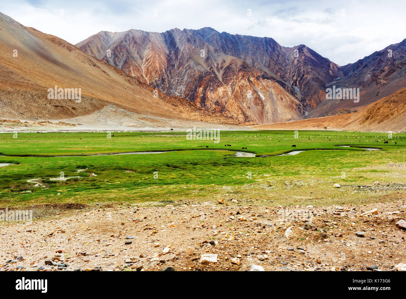 Natural landscape in Leh Ladakh, Jammu and Kashmir, India Stock Photo ...