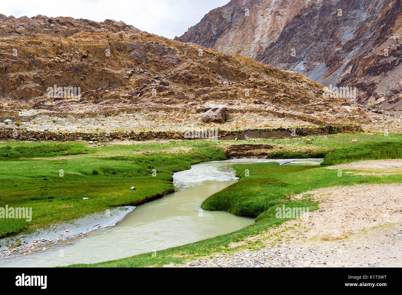Animals with natural landscape in Leh Ladakh, Jammu and Kashmir, India ...