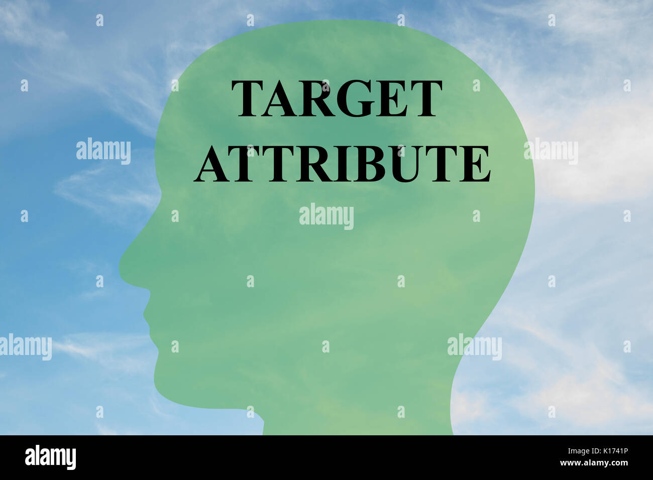 Render illustration of "TARGET ATTRIBUTE" script on head silhouette ...