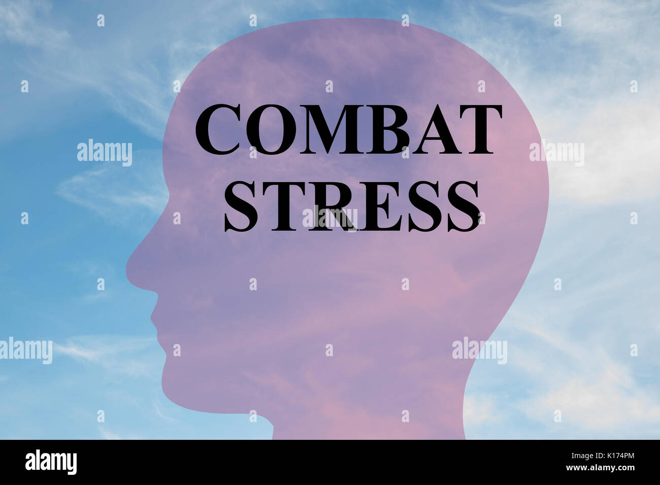 Render illustration of "COMBAT STRESS" script on head silhouette, with ...