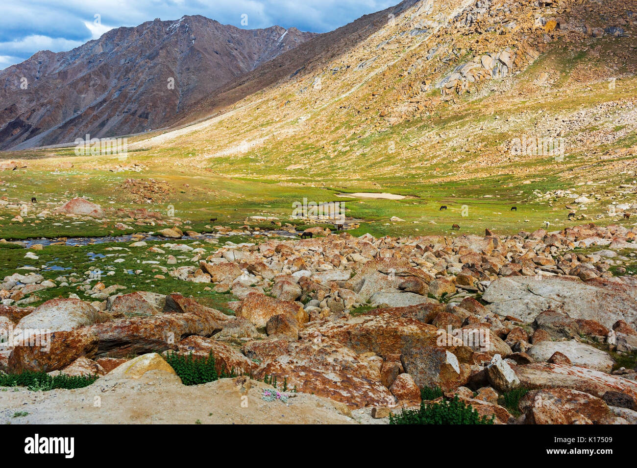 Natural landscape in Leh Ladakh, Jammu and Kashmir, India Stock Photo ...