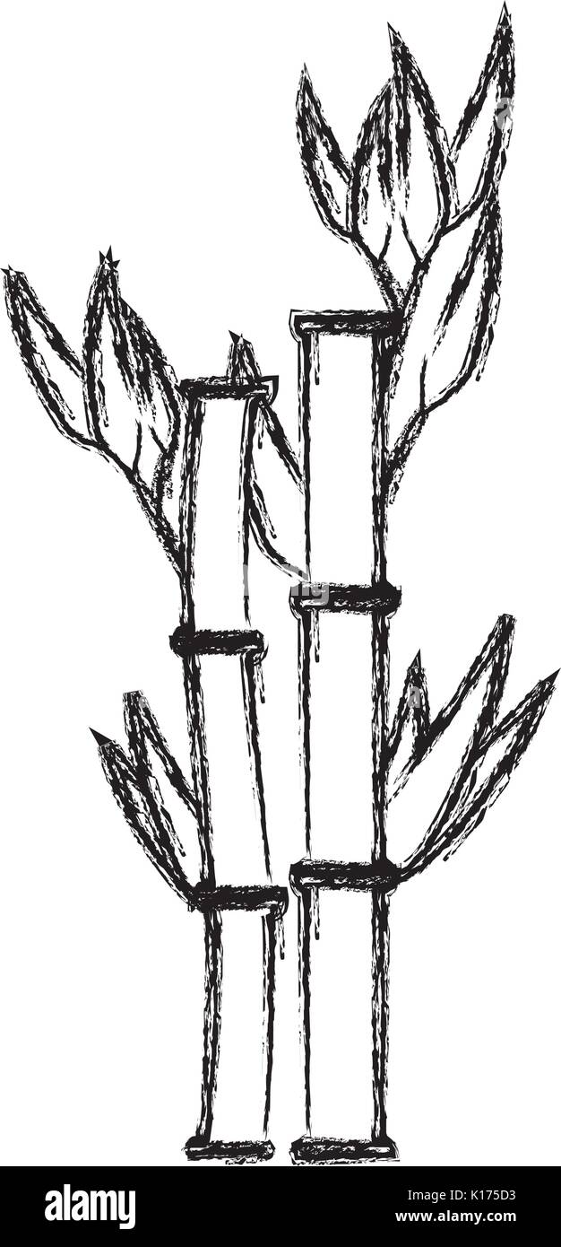 Bamboo Stalk Drawing