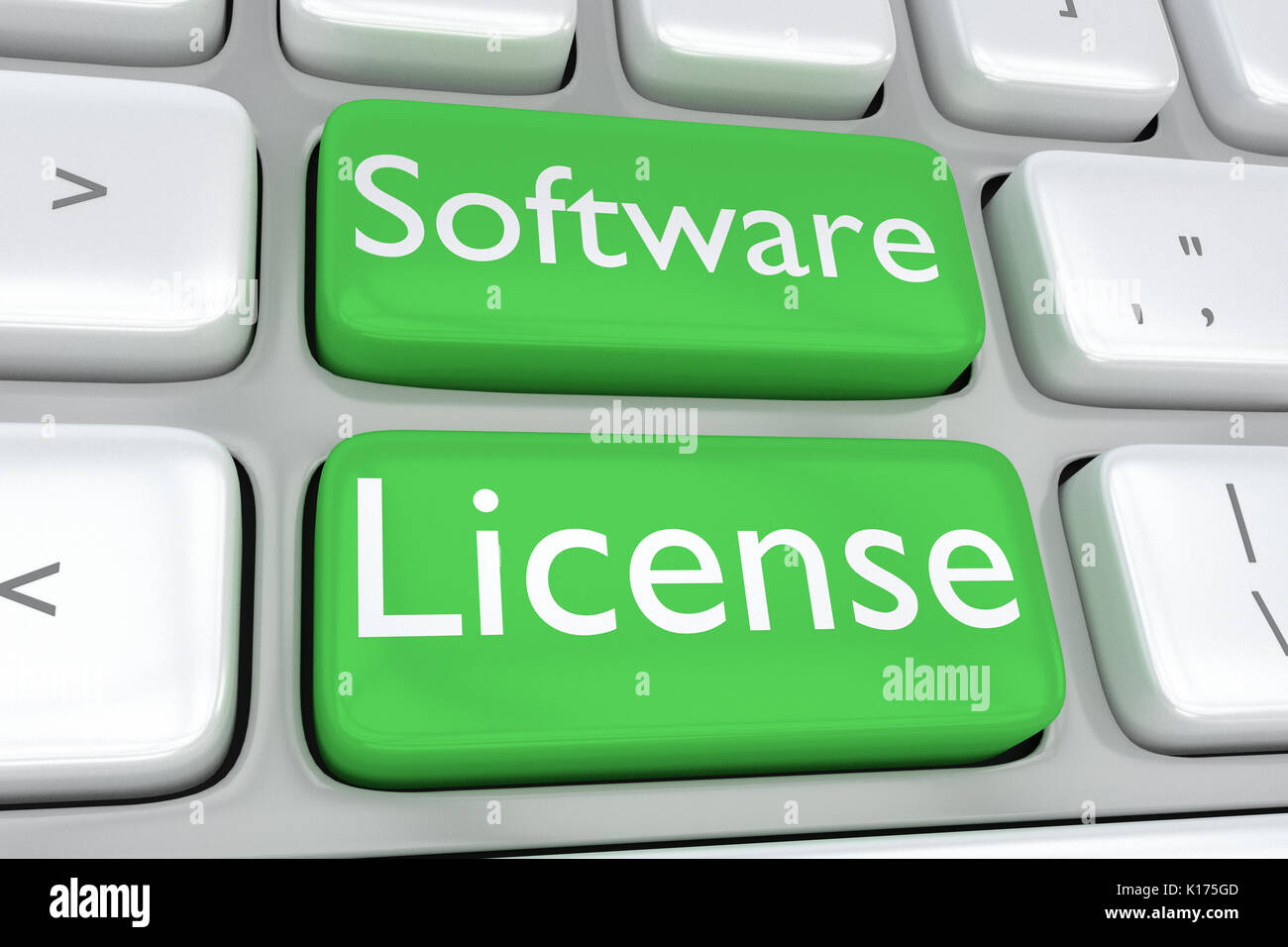 3D illustration of computer keyboard with the print "Software License ...