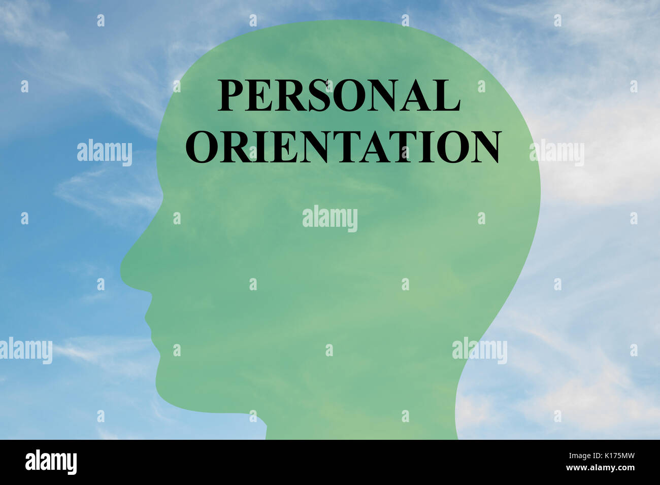Render illustration of "PERSONAL ORIENTATION" script on head silhouette ...