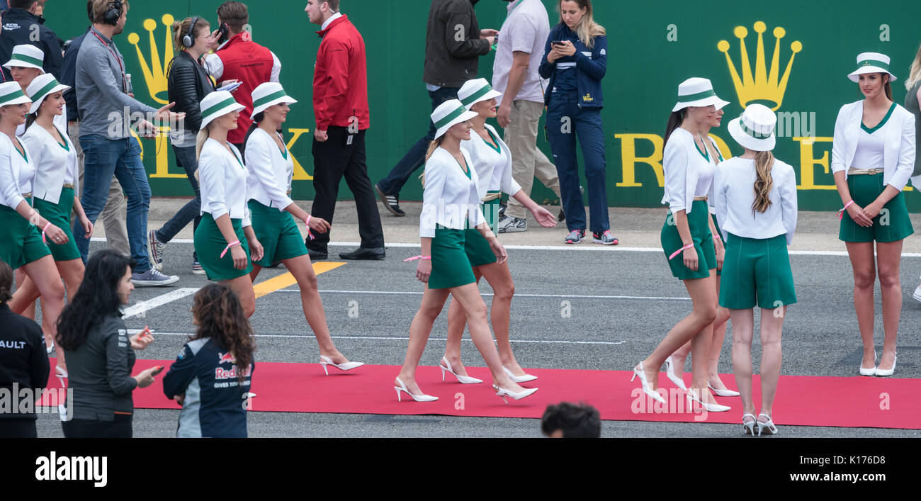 Flags at the silverstone circuit hi-res stock photography and images ...