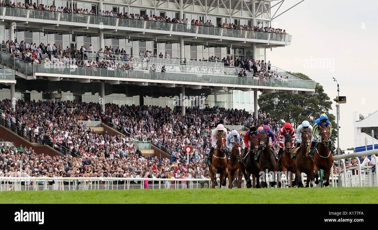 Runners and riders in action during The Weatherbys Hamilton Lonsdale ...