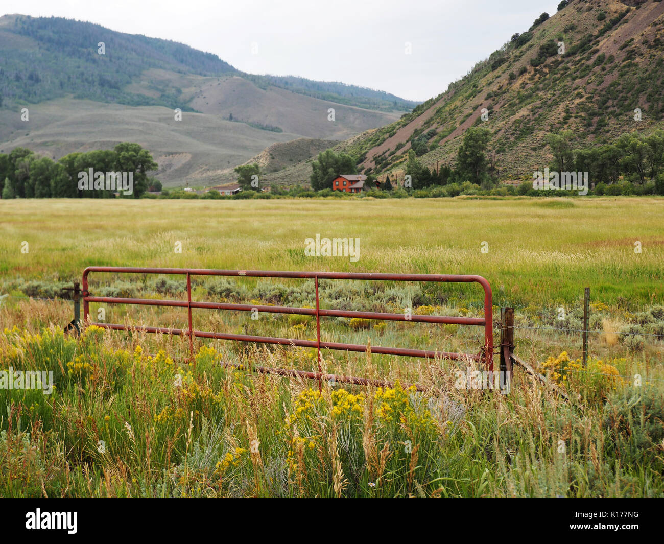 Prairie scenery hi-res stock photography and images - Alamy
