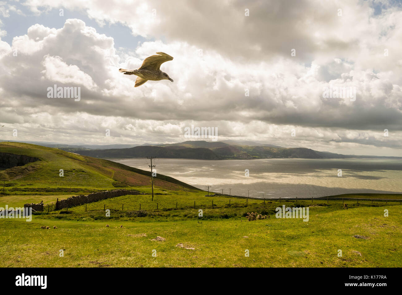 Great Orme, Wales,The North Wales peninsula of the Great Orme headland ...
