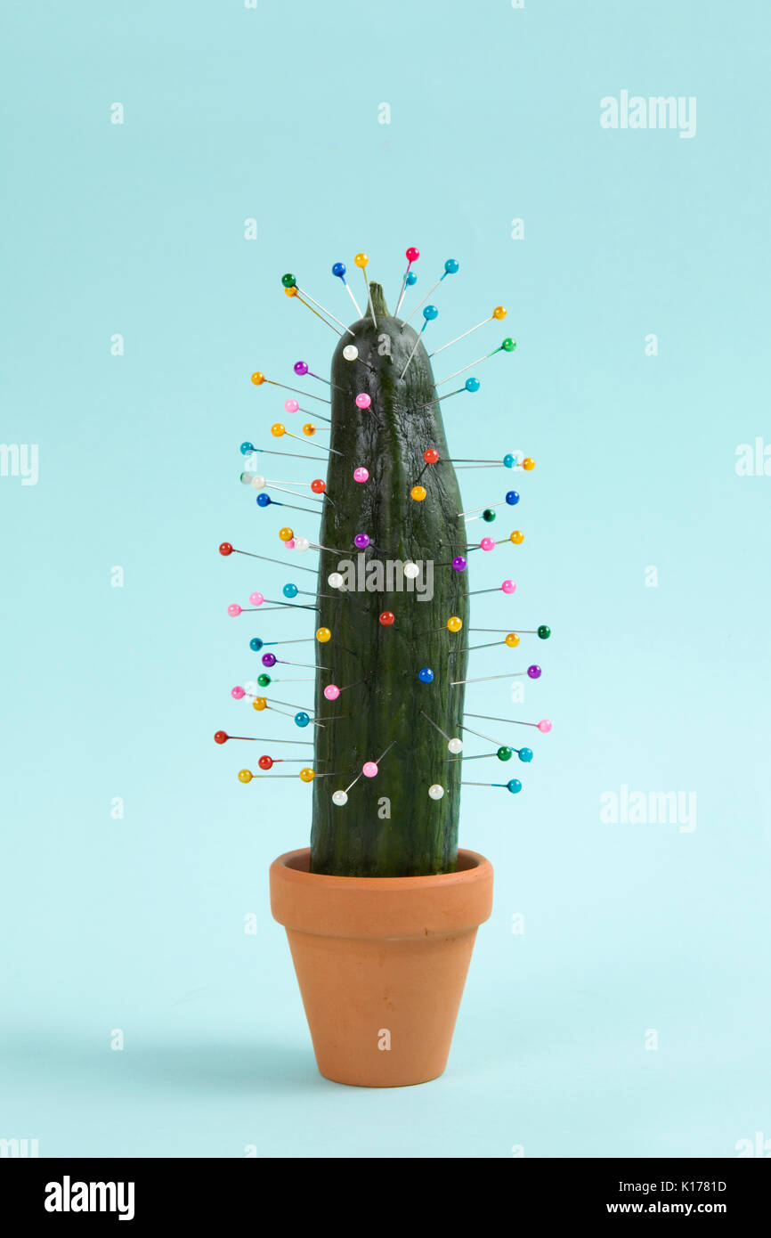 a quirky cucumber into which pins are inserted like a voodoo doll ...