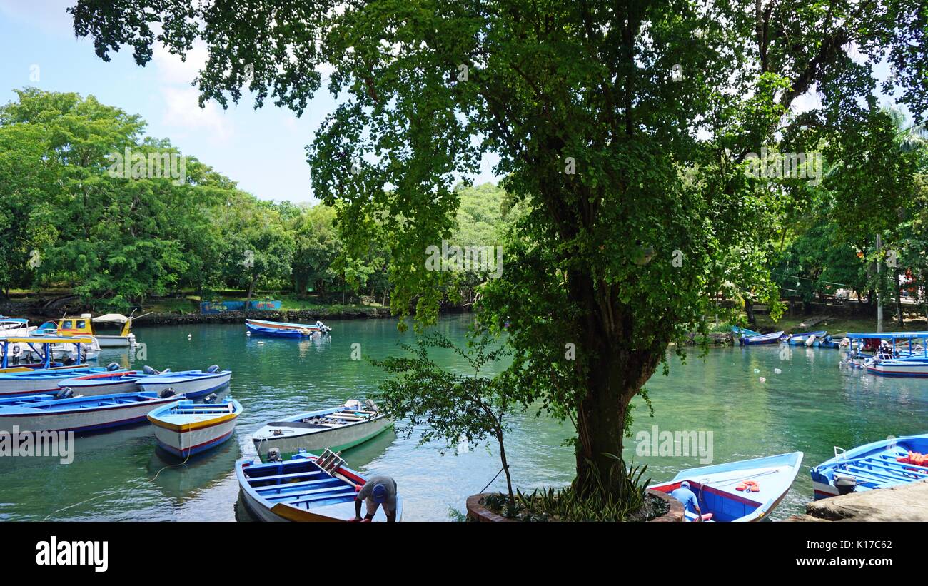 Gri gri hi-res stock photography and images - Alamy