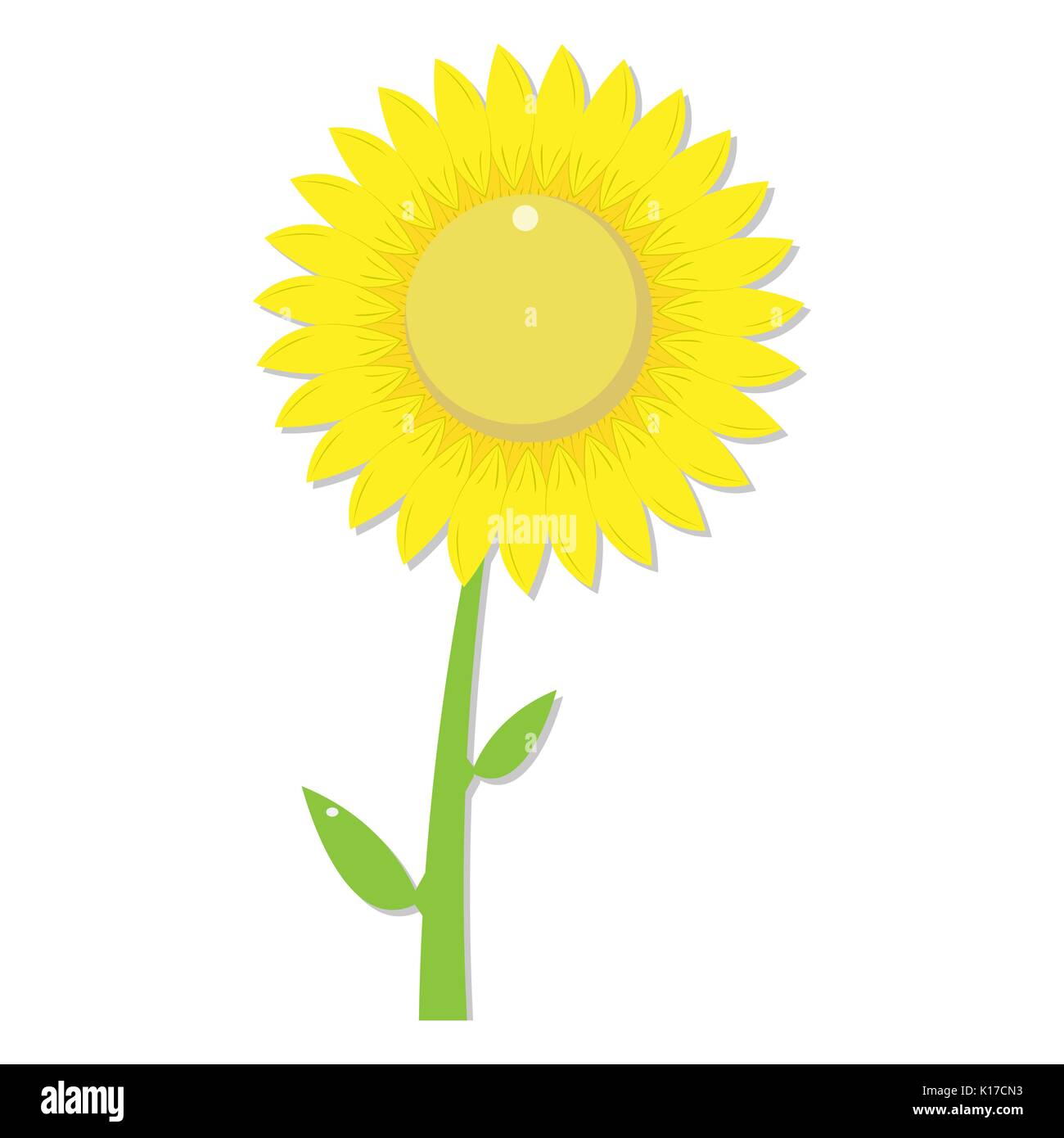 Sunflower flat isolated.Vector isolated illustration Stock Vector Image ...