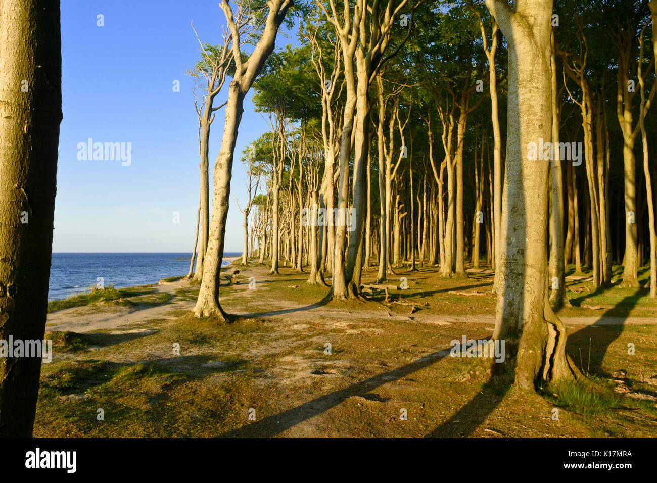 Nienhagen hi-res stock photography and images - Alamy