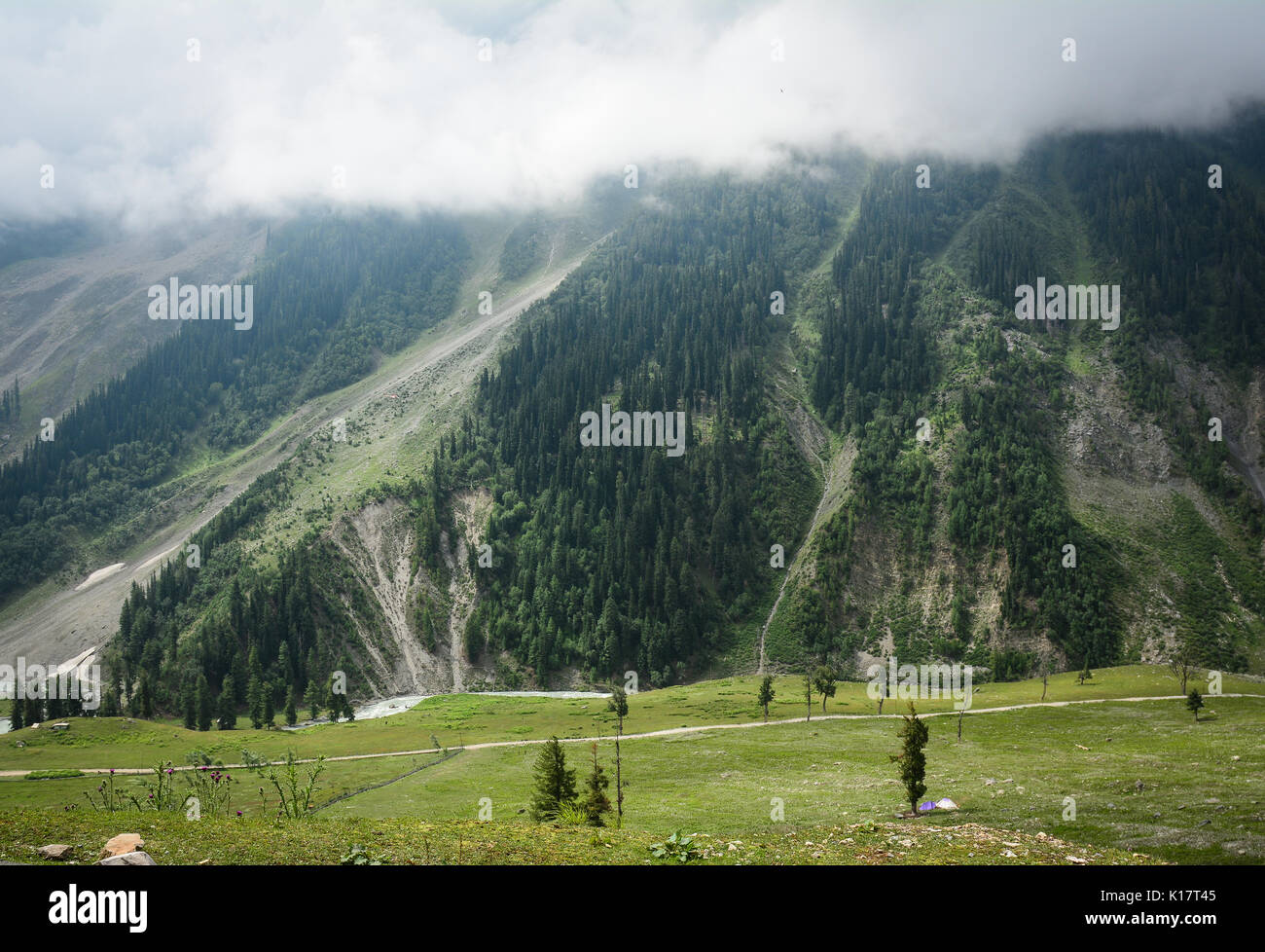 Mountain scenery with valley at misty day in Jammu and Kashmir, India ...