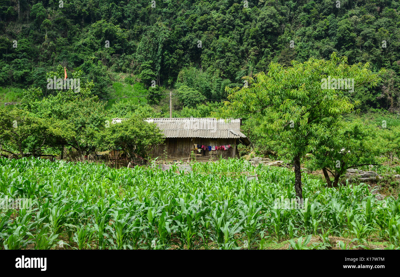 A wooden house of Hmong people in Sapa, Vietnam. Sa Pa is a quiet ...