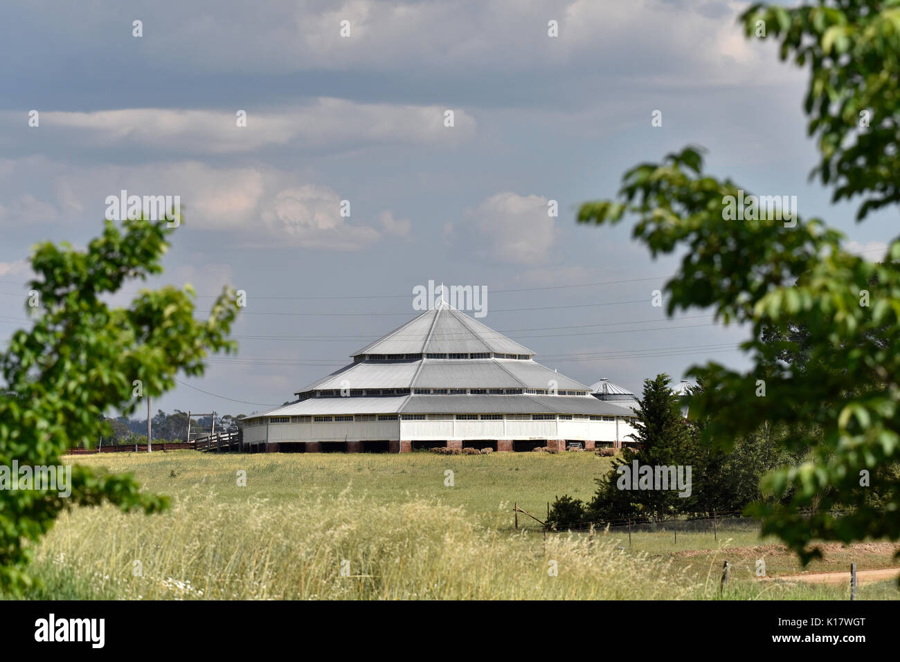 Deeargee octagonal Woolshed in Gostwyk near Uralla in northern nsw new ...