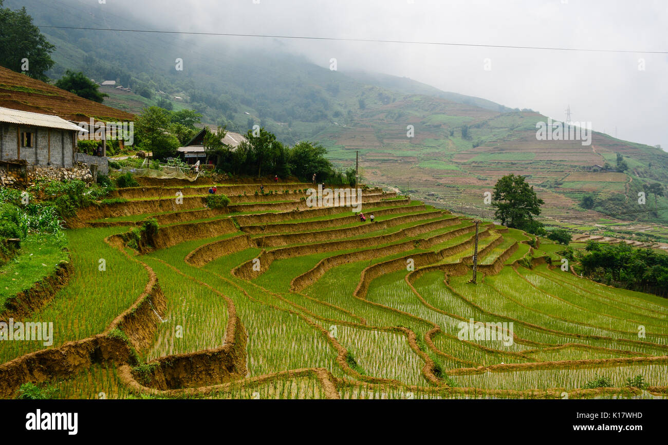Sapa, Vietnam - May 30, 2016. View of Hmong village with the terraced ...