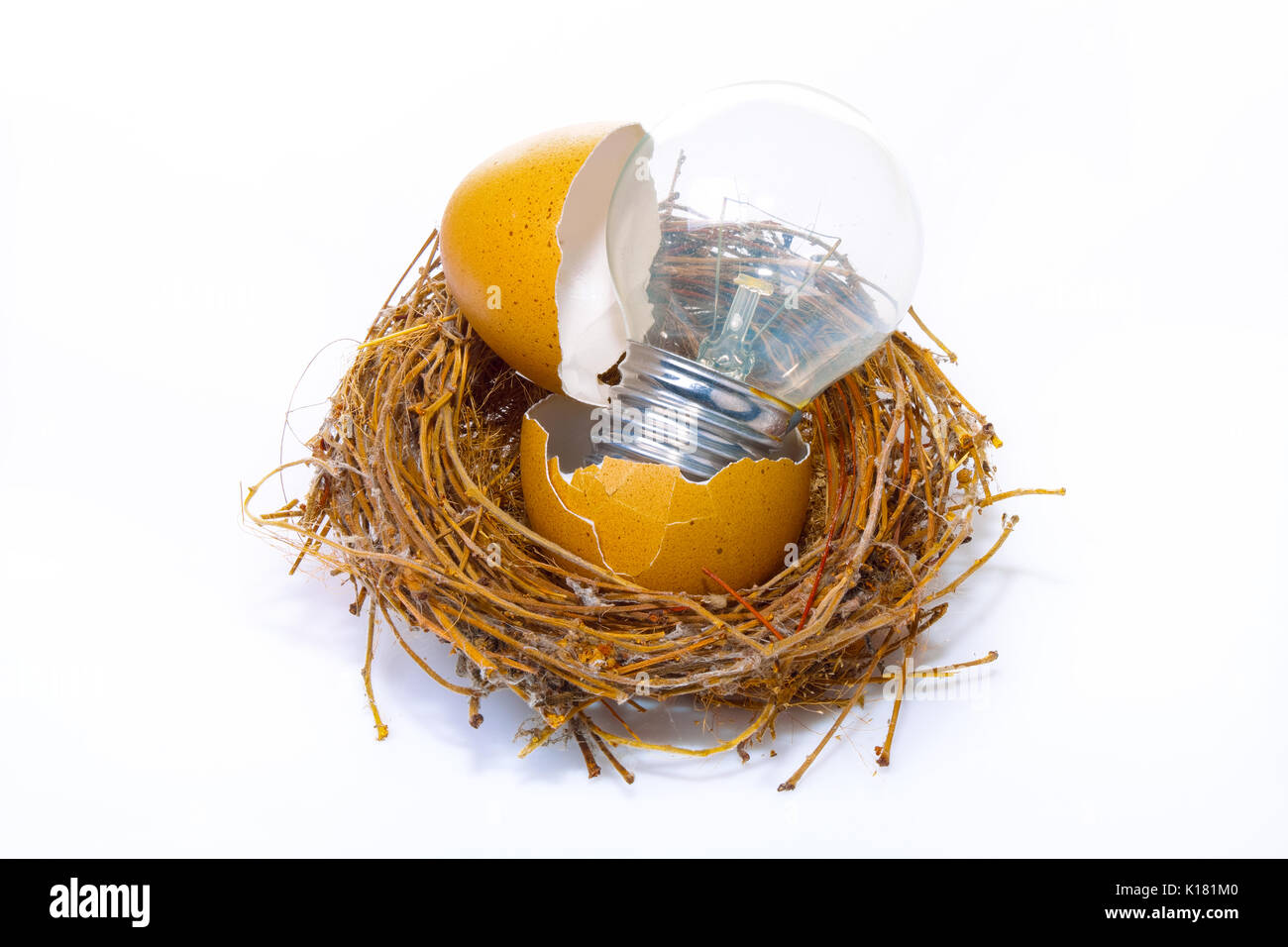 Egg light bulb Cut Out Stock Images & Pictures - Alamy