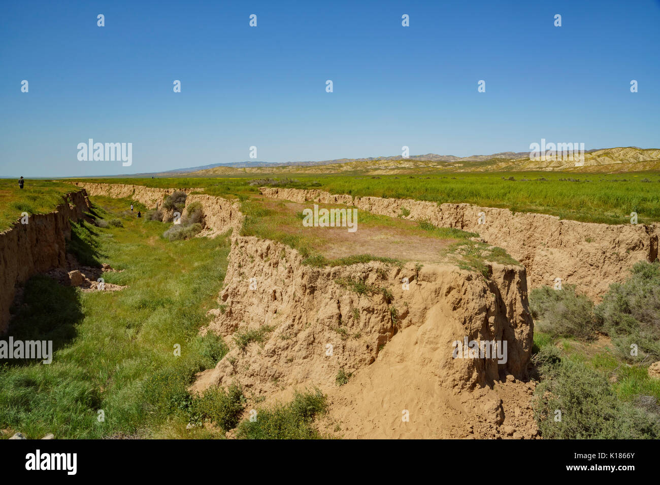 Carrizo plain hi-res stock photography and images - Alamy