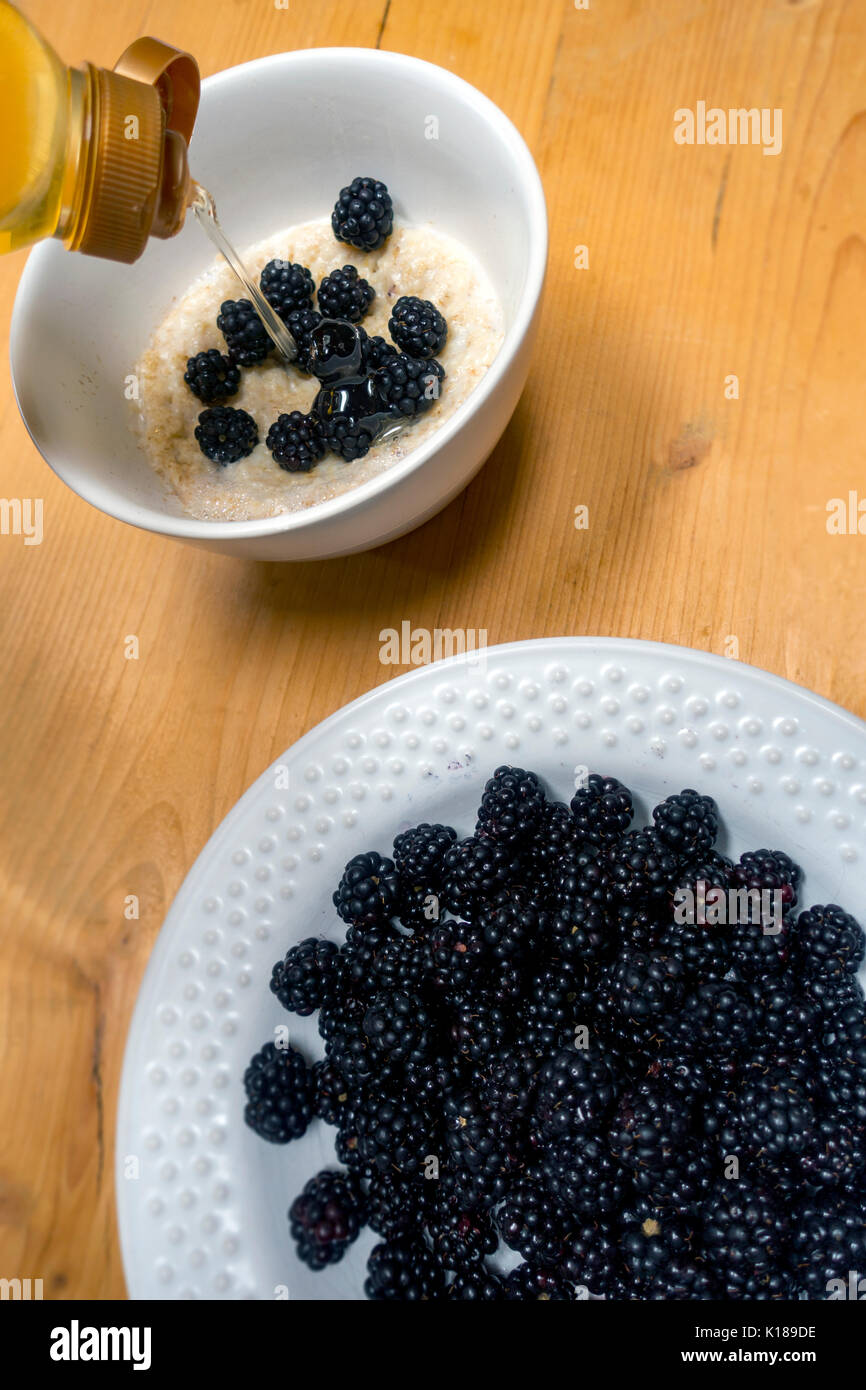 Fresh hand picked blackberries from a UK hedgerow being some placed on ...
