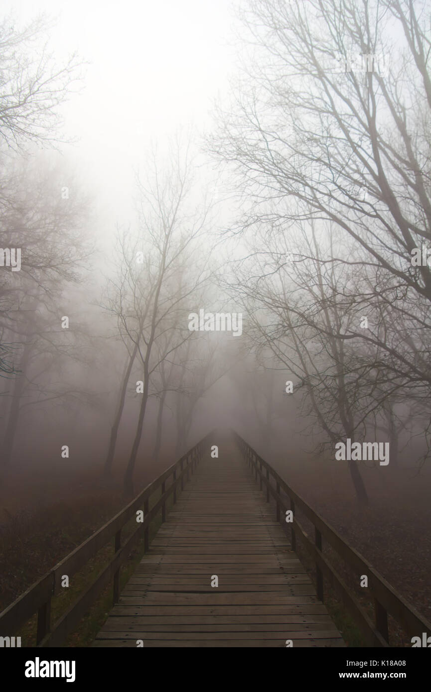 Fog bridge hi-res stock photography and images - Alamy