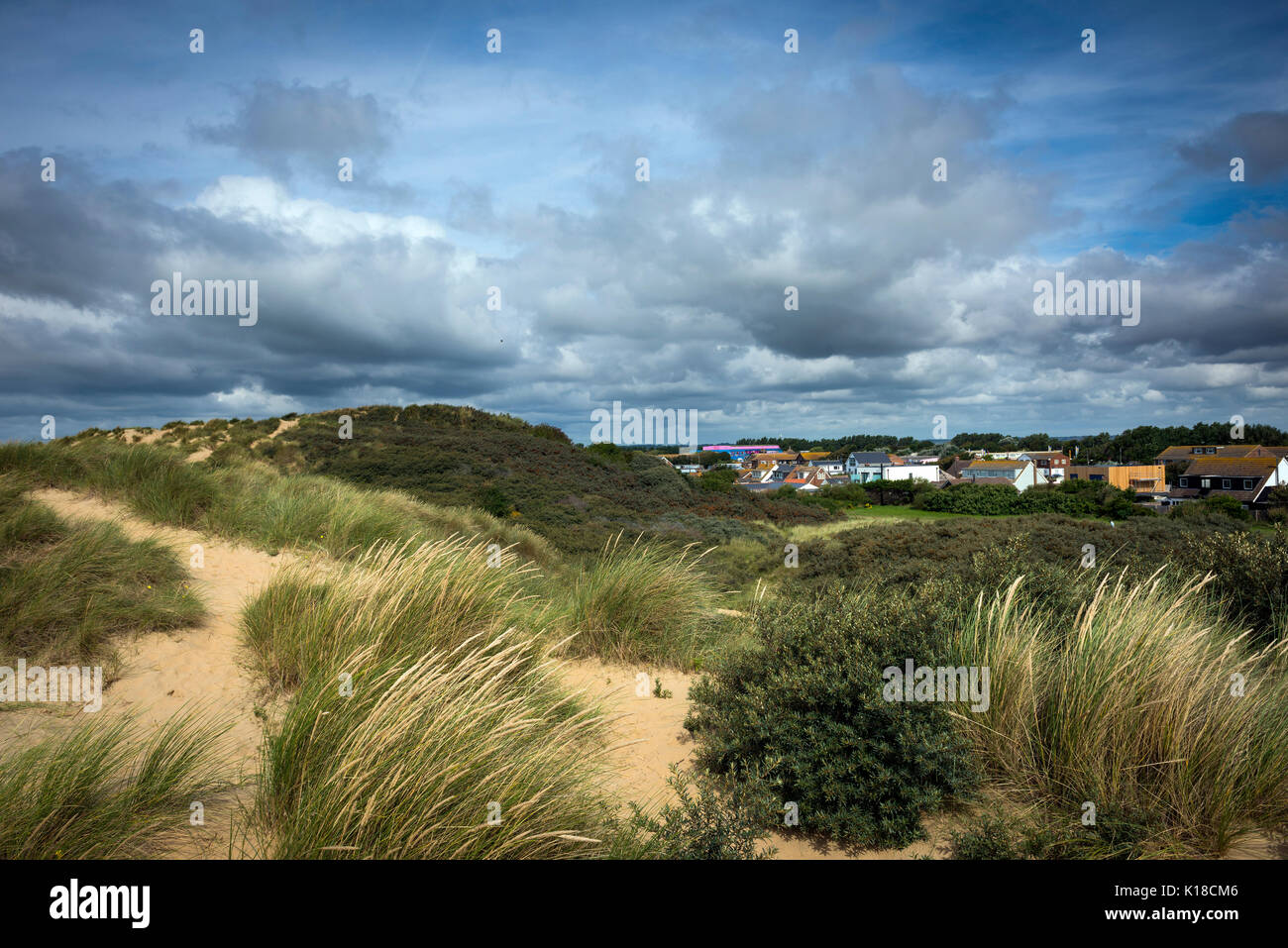 Camber Sands beach and sand dunes, East Sussex, UK Stock Photo - Alamy