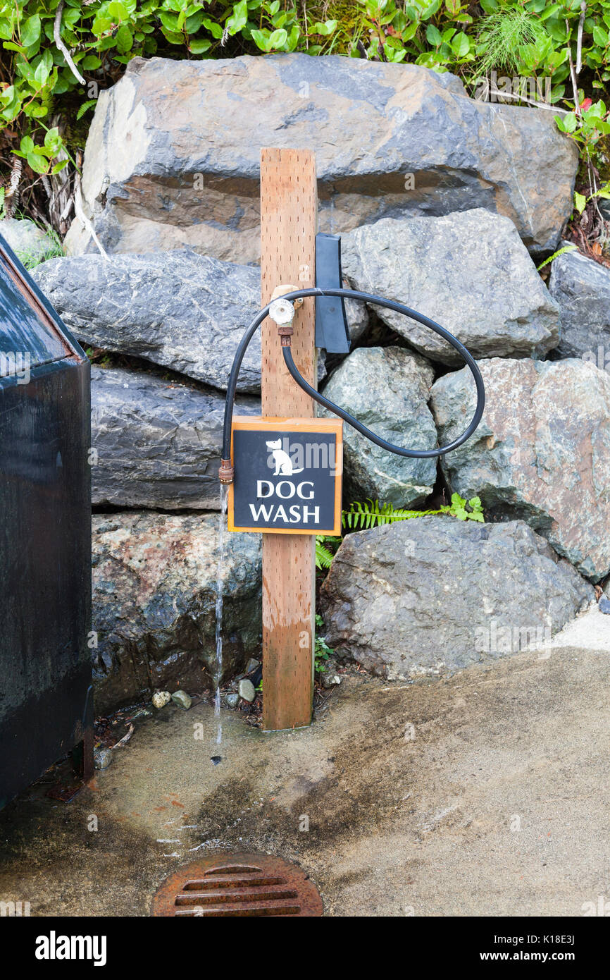 Dog wash hi-res stock photography and images - Alamy