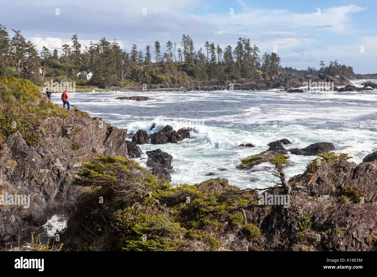 Beach rocks british columbia hi-res stock photography and images - Alamy