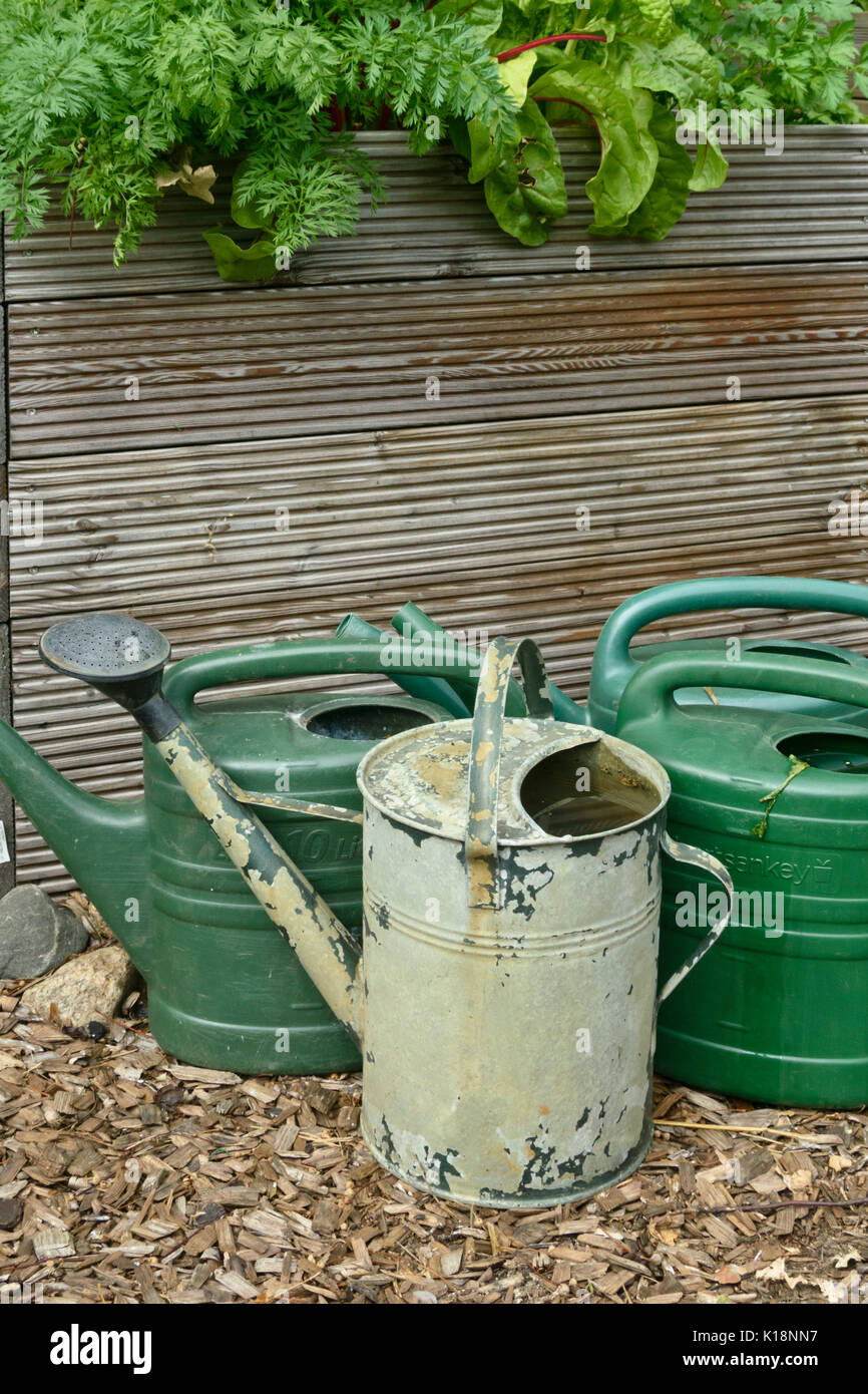 Watering cans in front of a raised bed Stock Photo - Alamy