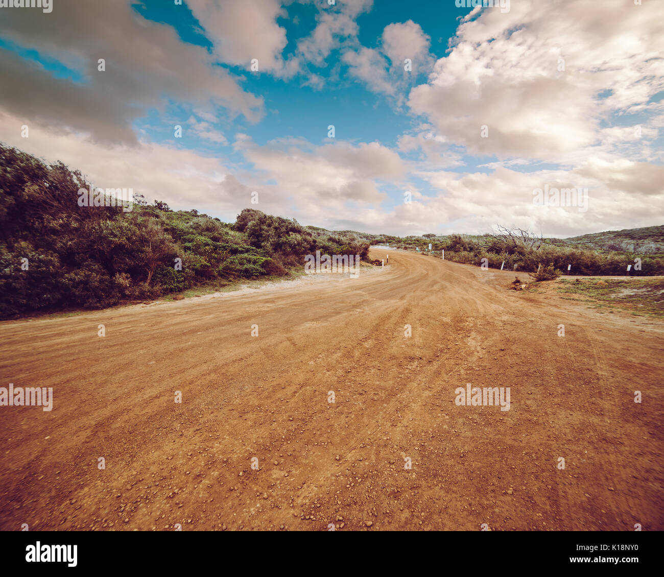 Off-road in the forests ,perth . vintage toning filter add Stock Photo ...