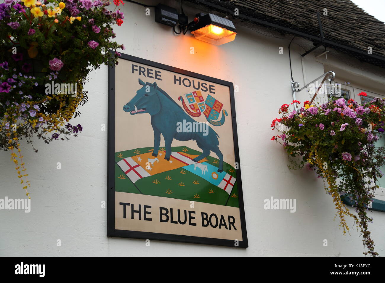 Artofzoo Milly Iron Boar Videos Zoofilia Free Artofzoo