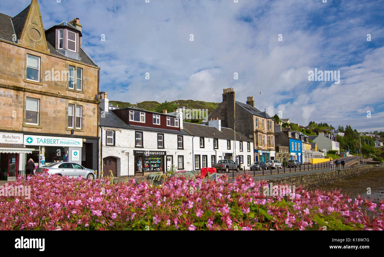 Scottish village of Tarbert with row of brightly coloured buildings ...