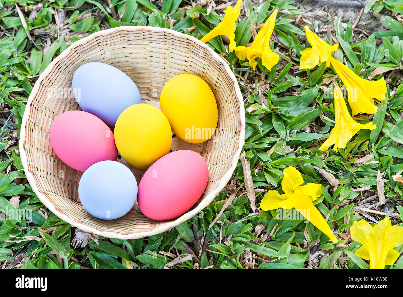 Easter eggs in wooden basket on Fresh Green Grass Stock Photo - Alamy