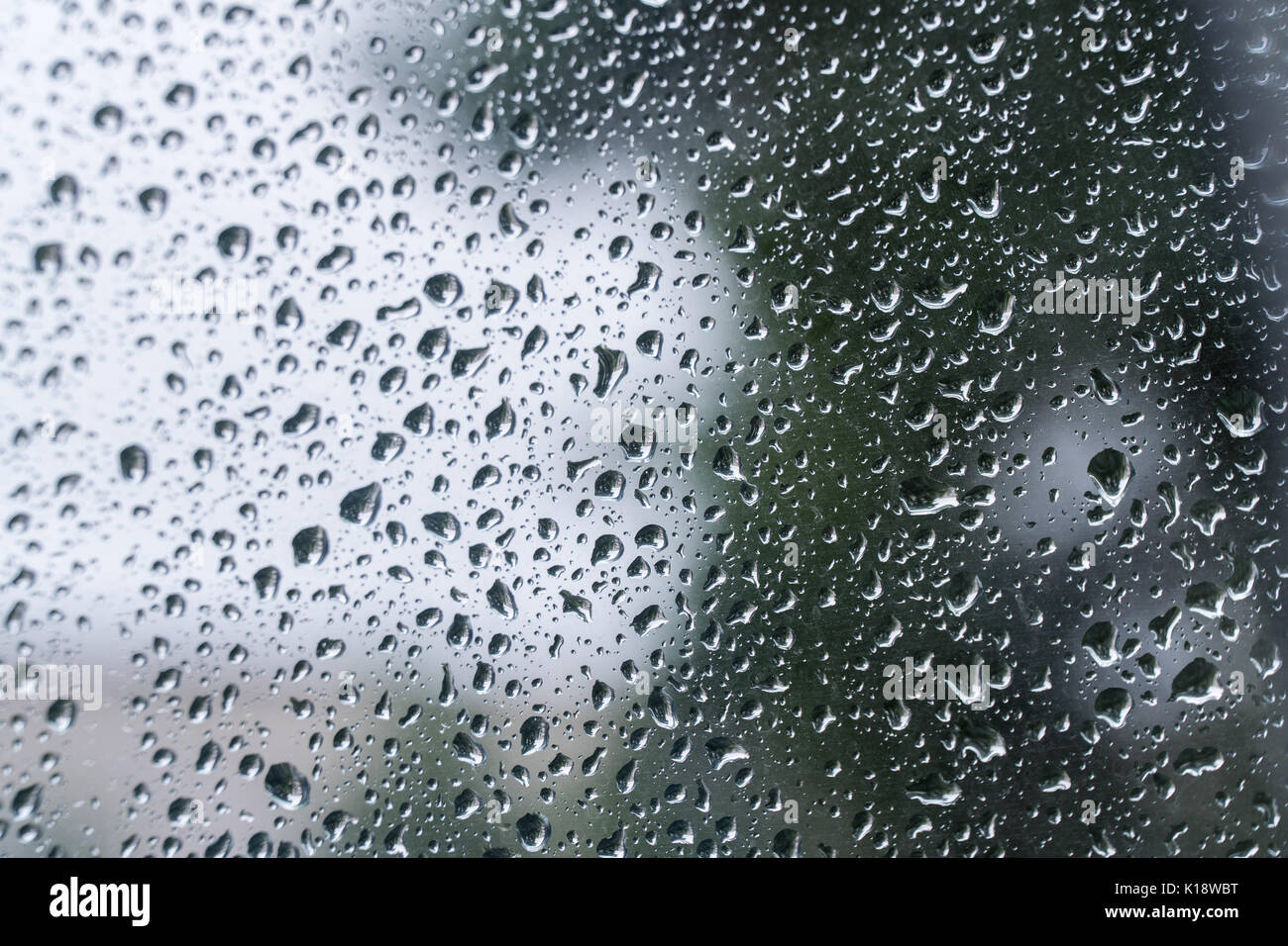 Natural water drop on glass, Background blurred Stock Photo - Alamy