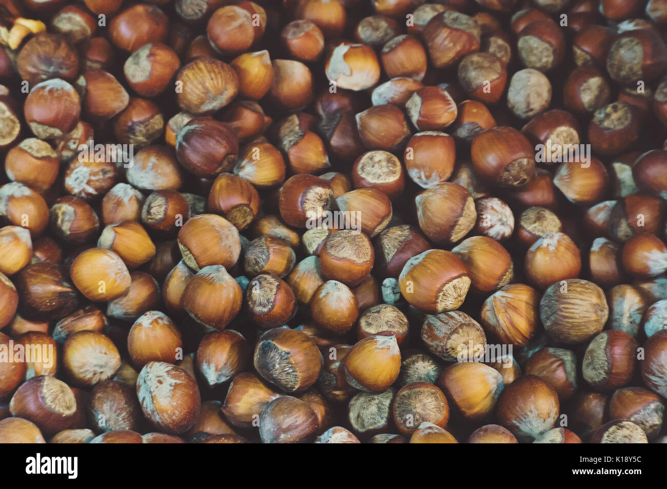Hazelnut in the shell. Fresh organic filbert Food background. The ...