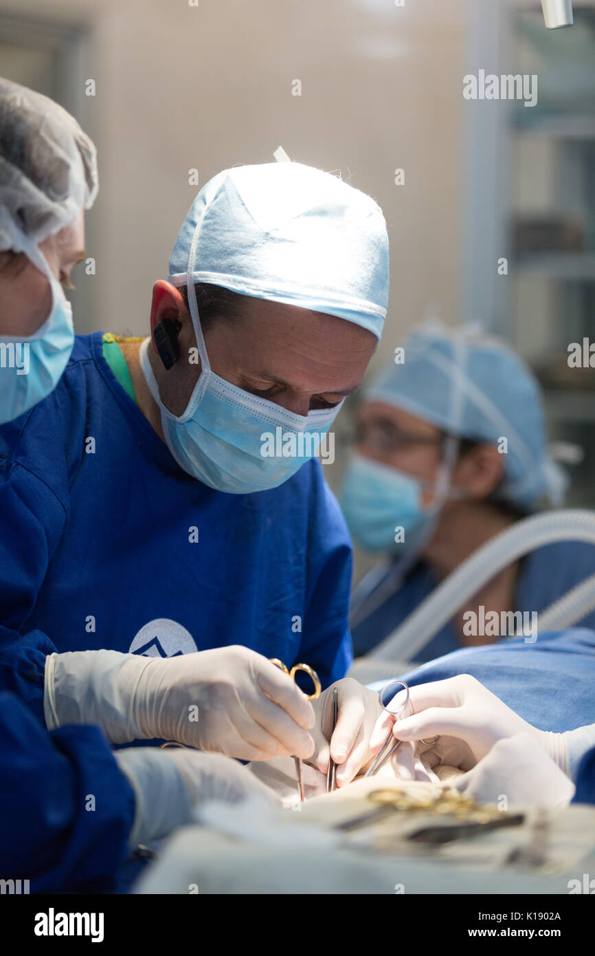 Open abdomen patient during hi-res stock photography and images - Alamy