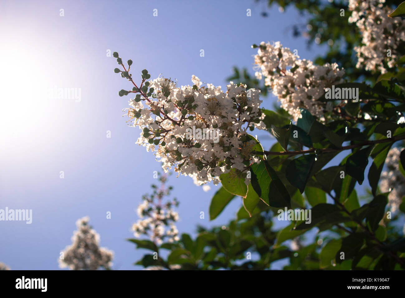 Speed is of the essence hi-res stock photography and images - Alamy