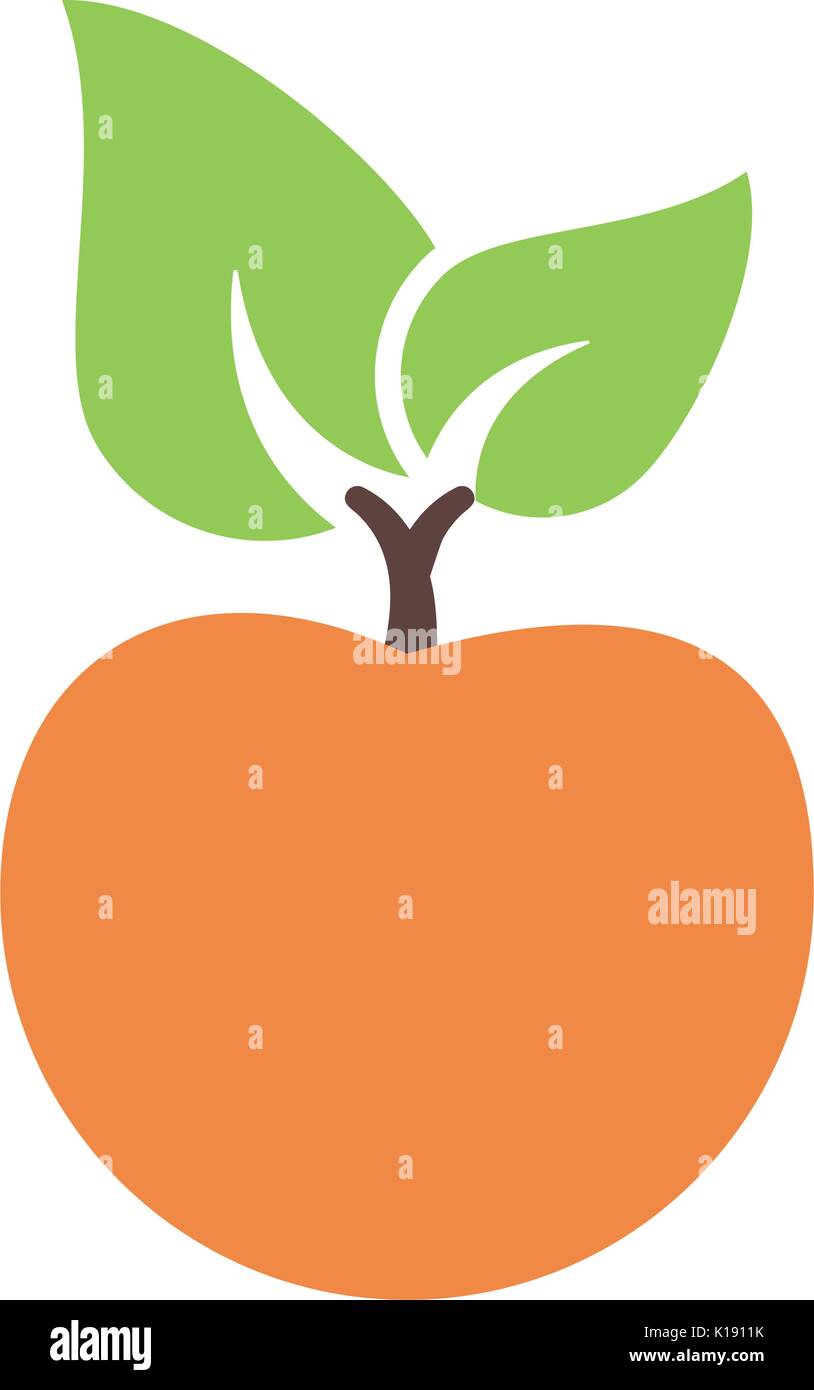 Apricot farming Stock Vector Images - Alamy