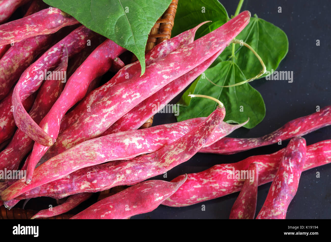 Red beans in pods on a dark background. Colored beans with leaves close ...