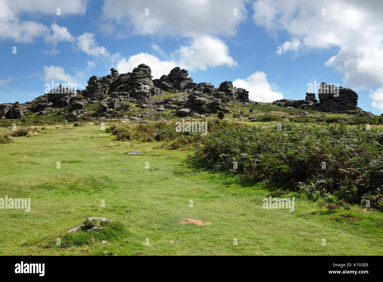 hound tor in the dartmoor national park devon Stock Photo - Alamy