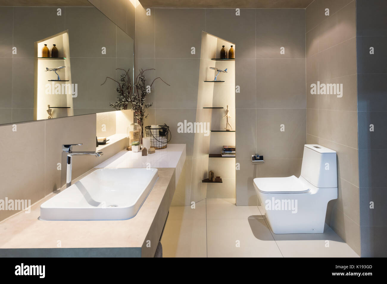 Modern interior of twin bathroom with sinks and toilet at home Stock ...