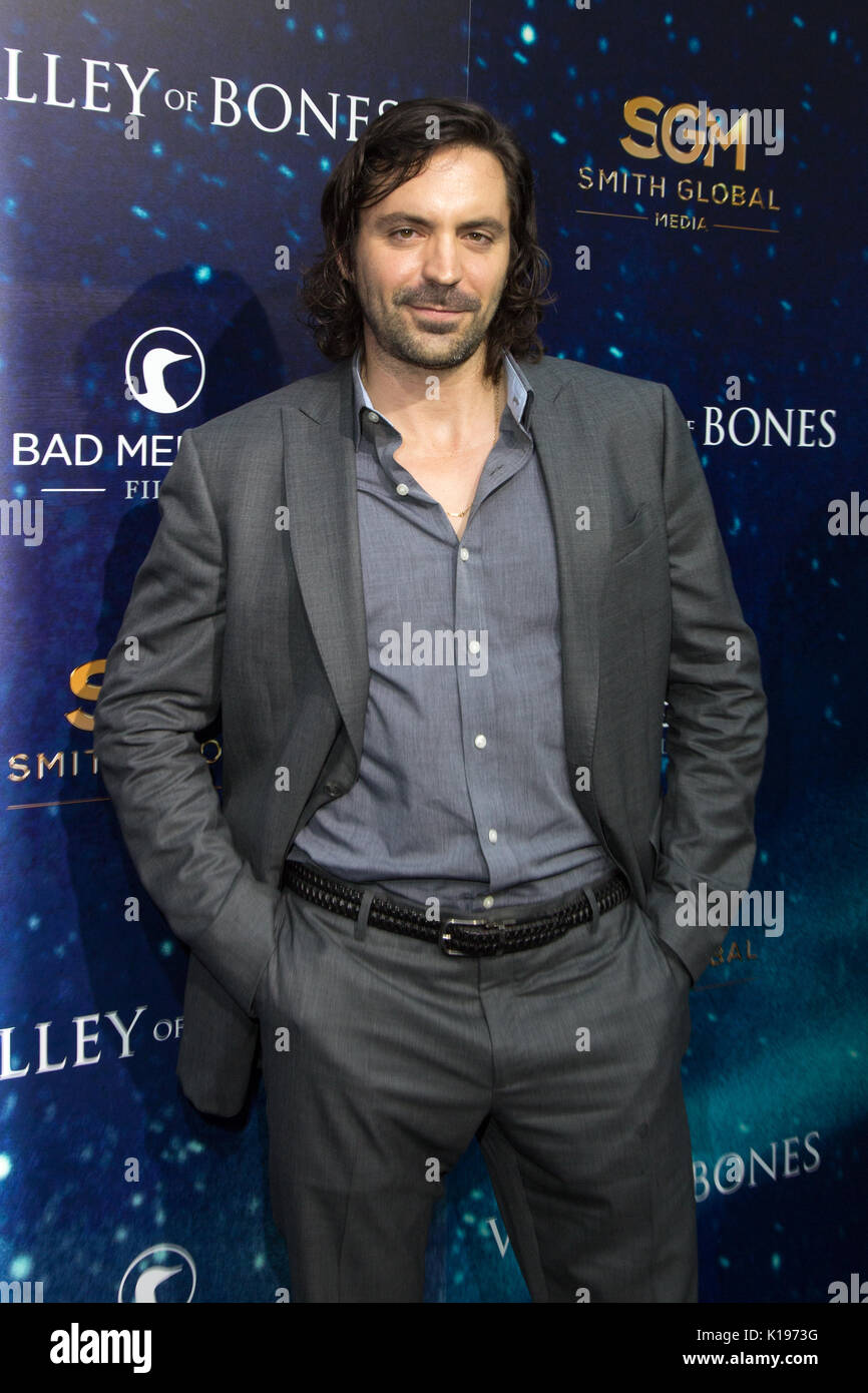 Los Angeles, CA, USA. 24th August, 2017. Actor Rhys Coiro attends ...