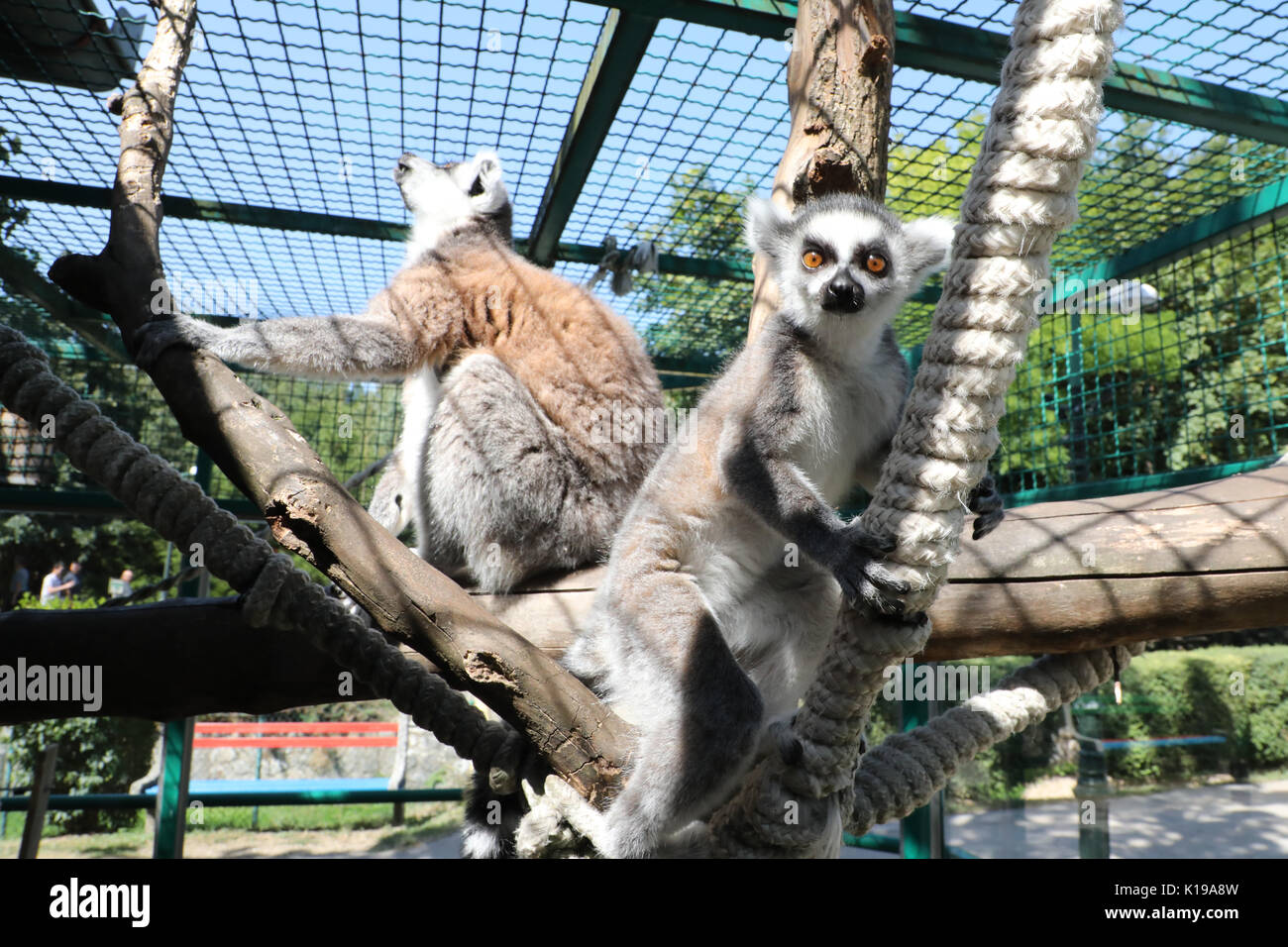 Memija hi-res stock photography and images - Alamy
