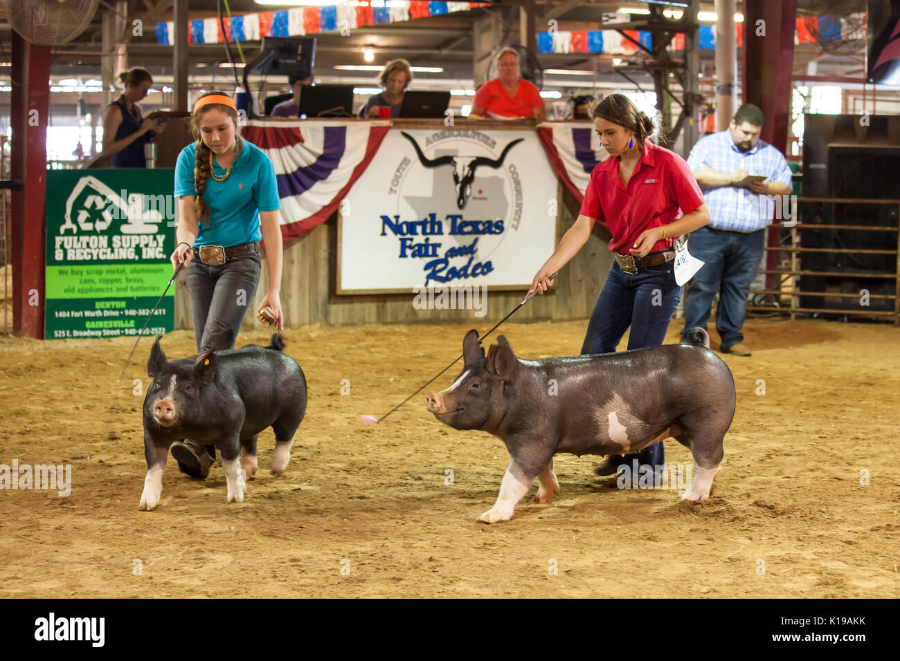 Denton, USA. 25th Aug, 2017. Women showcase pigs during the North Texas ...