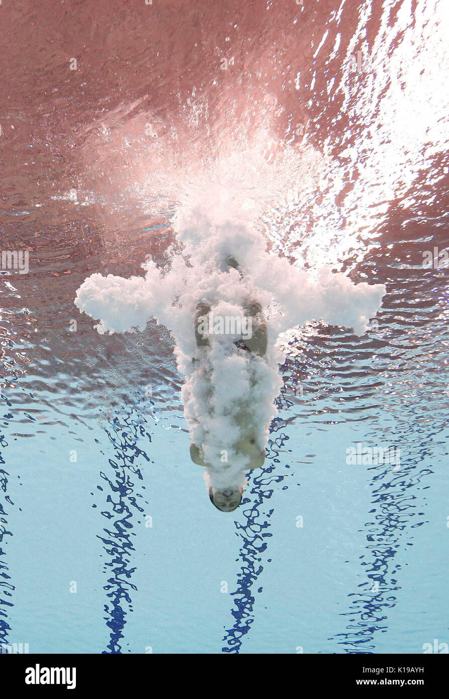 Mens 10m platform diving hi-res stock photography and images - Alamy