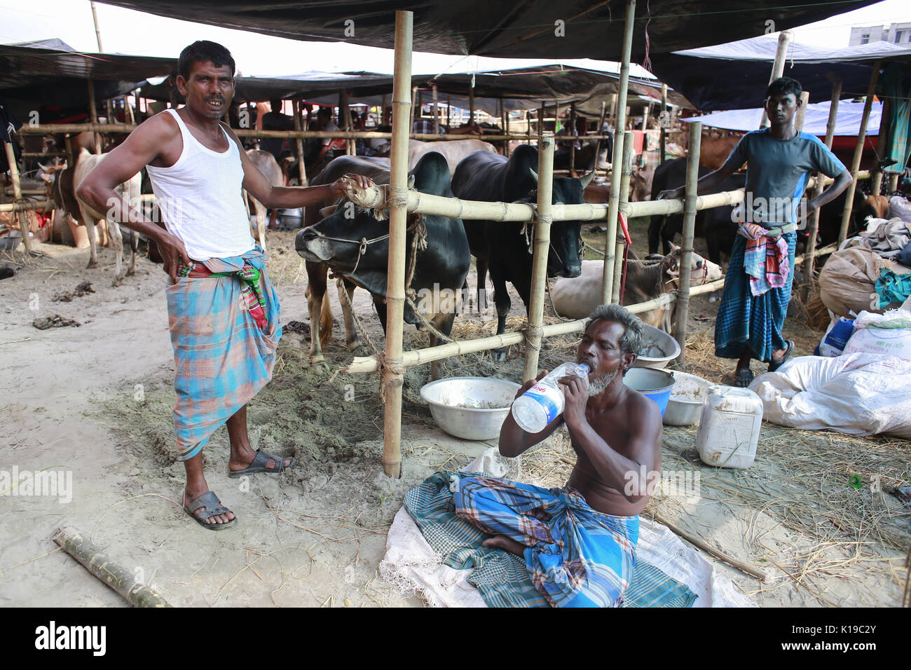 Dhaka, Bangladesh. 26th Aug, 2017. Bangladeshi traders wait for the customer at a cattle market ...