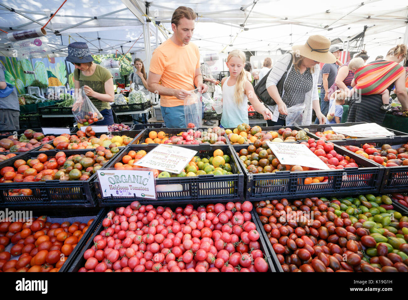Tomato growers hi-res stock photography and images - Alamy