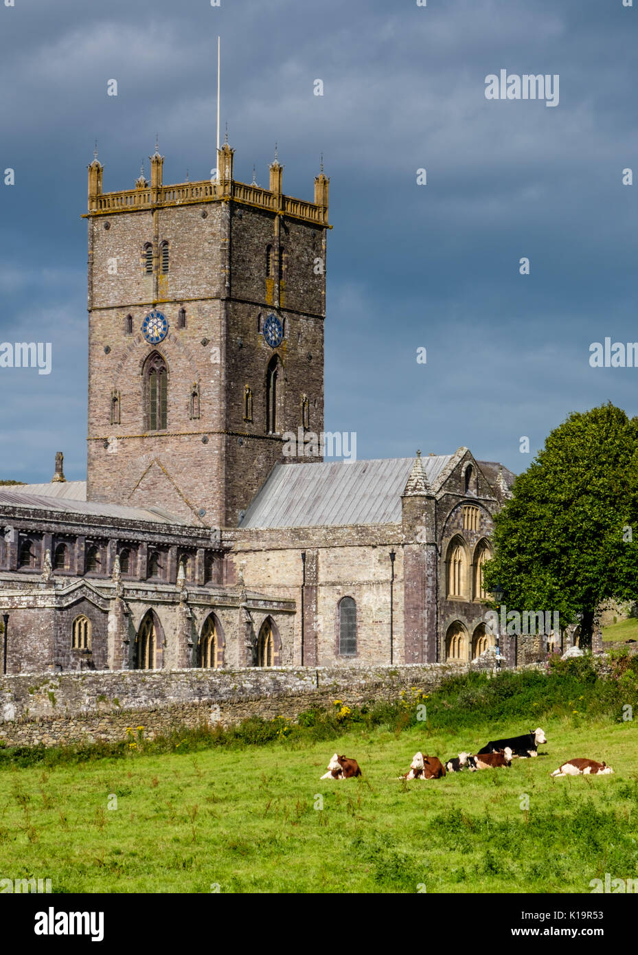 Saint david wales stained glass hi-res stock photography and images - Alamy